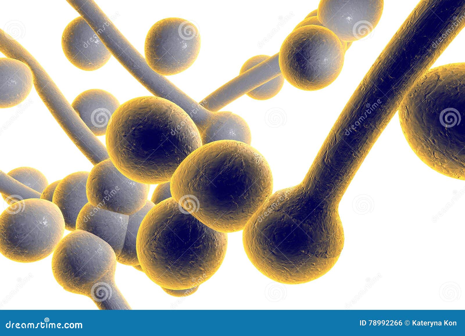 Albicans De Candida De Champignons Qui Causent La Grive Illustration ...