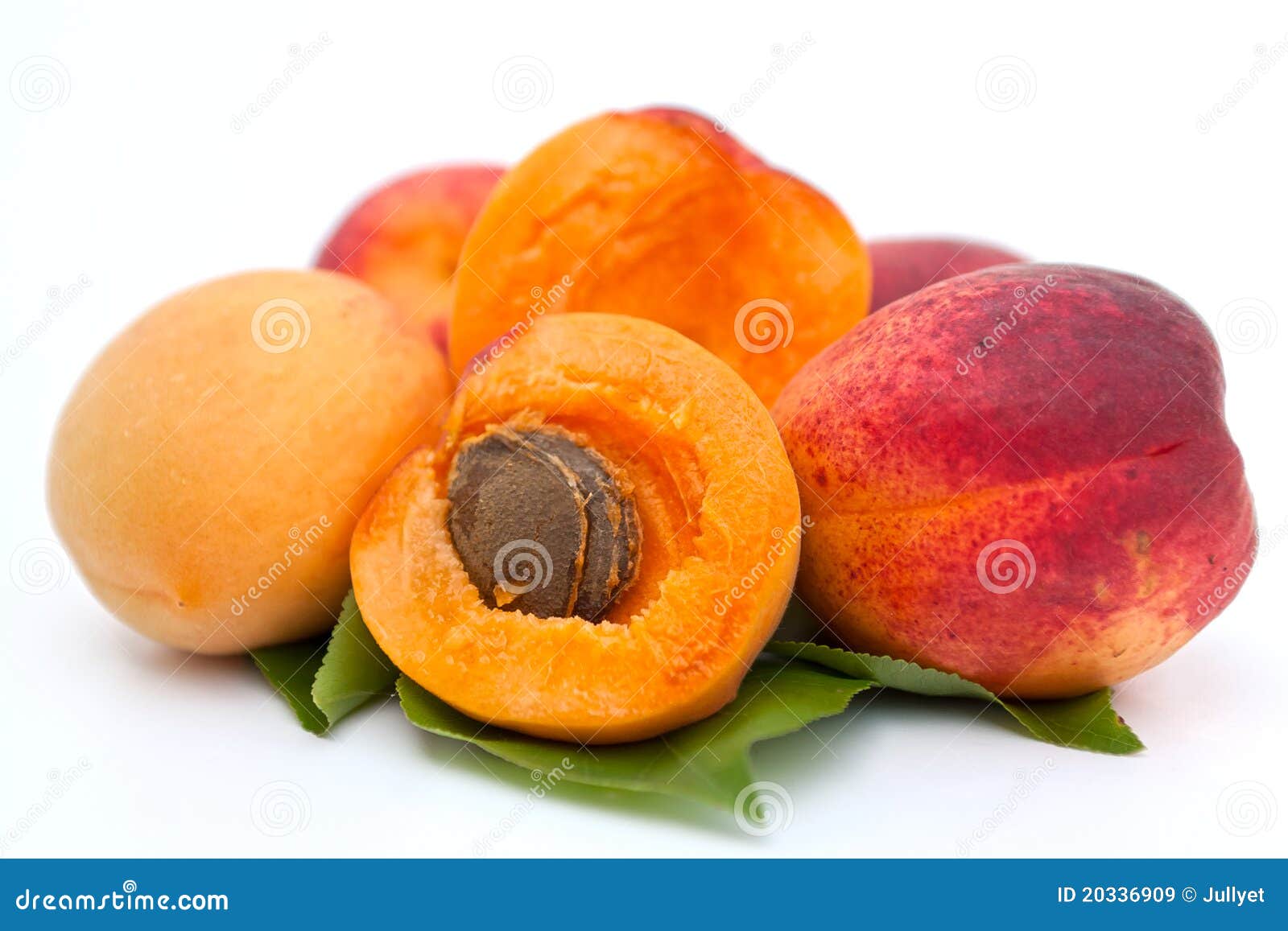 Albicocca immagine stock. Immagine di giardino, naturalizzato - 20336909