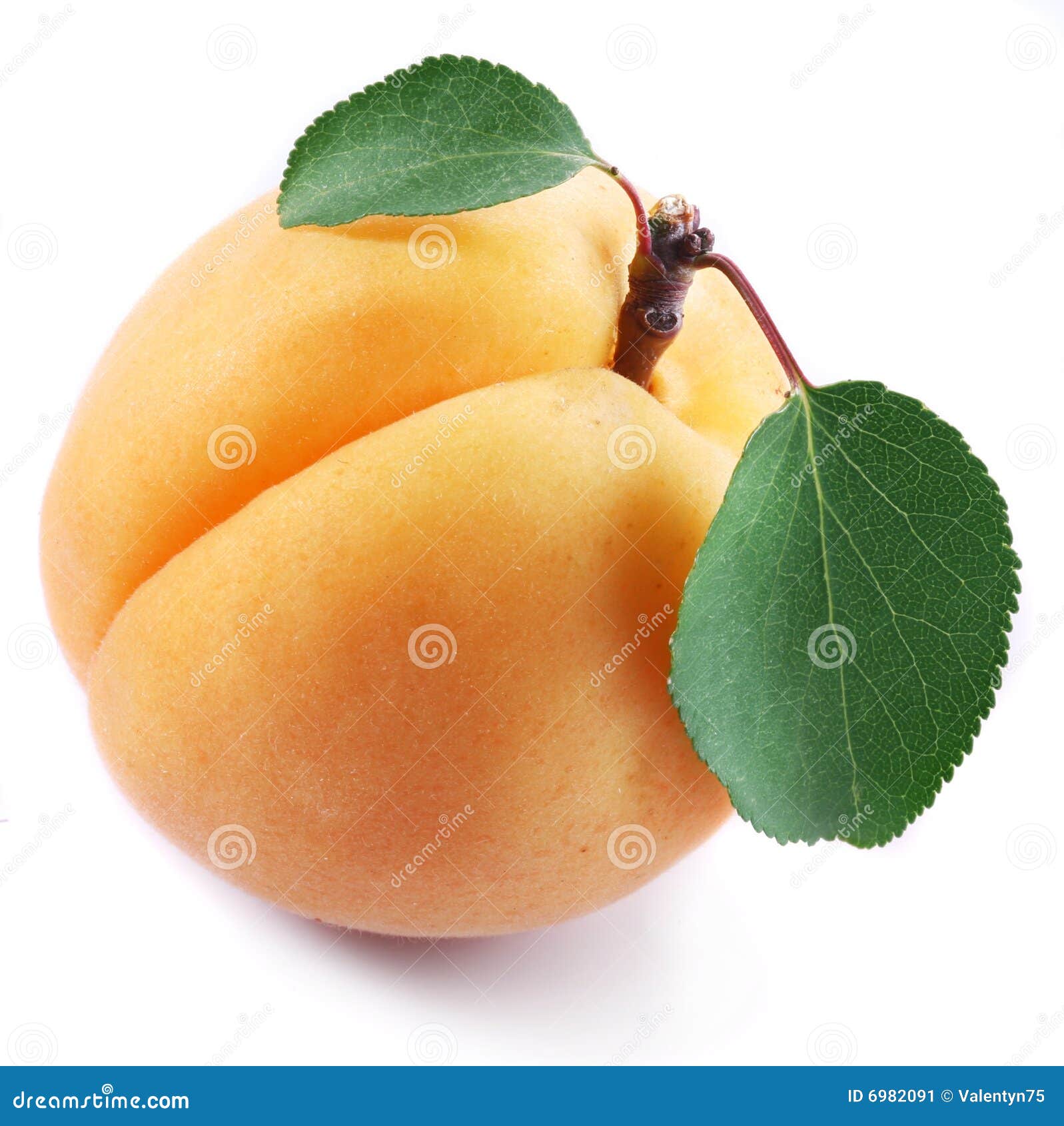 Albicocca immagine stock. Immagine di giallo, estate, frutta - 6982091