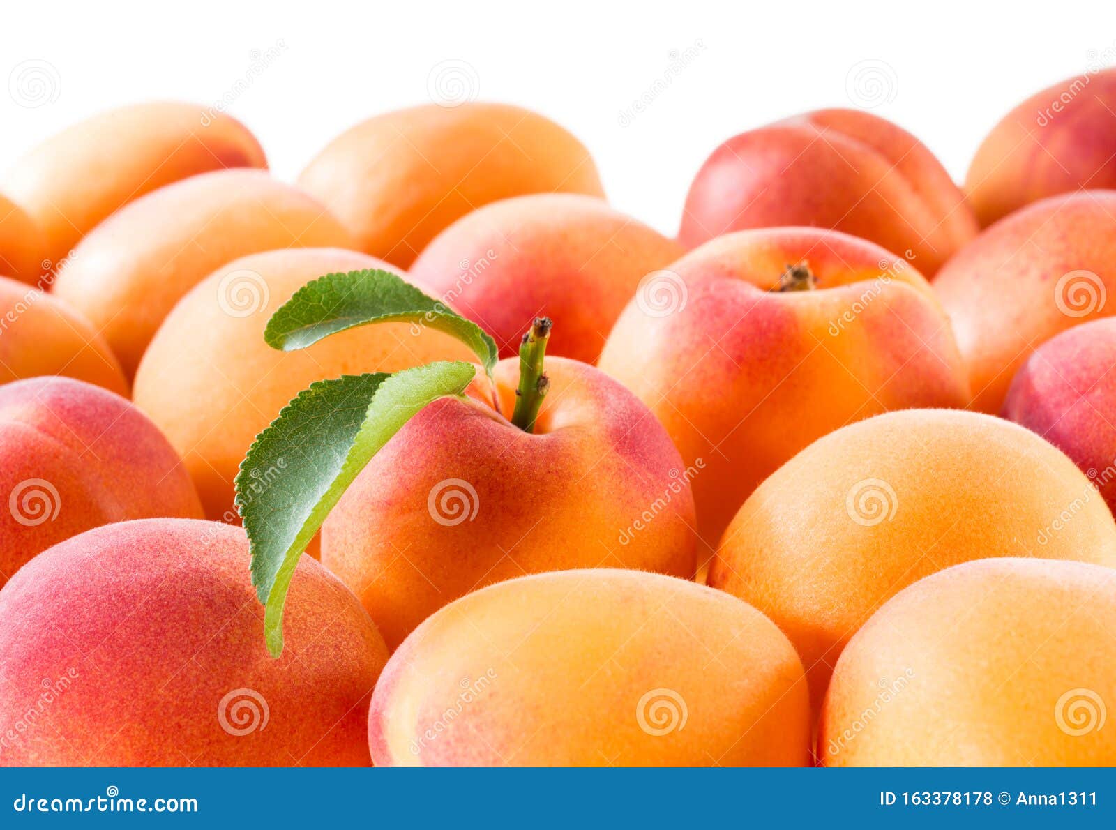 Albicocca Con Foglie Sfondo Albicocca Fotografia Stock - Immagine di ...