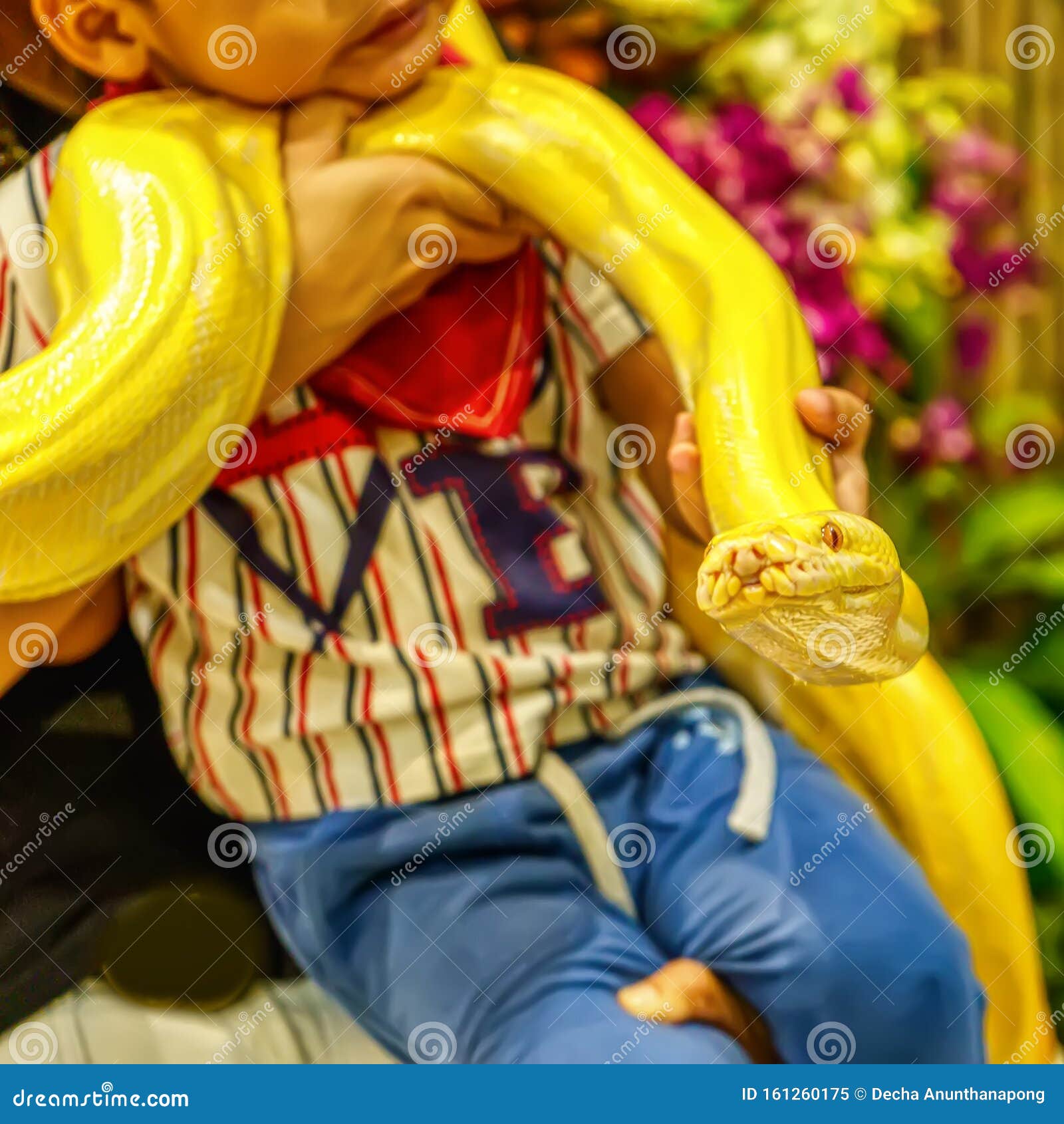 Albino burmese python editorial image. Image of poisonous - 161260175