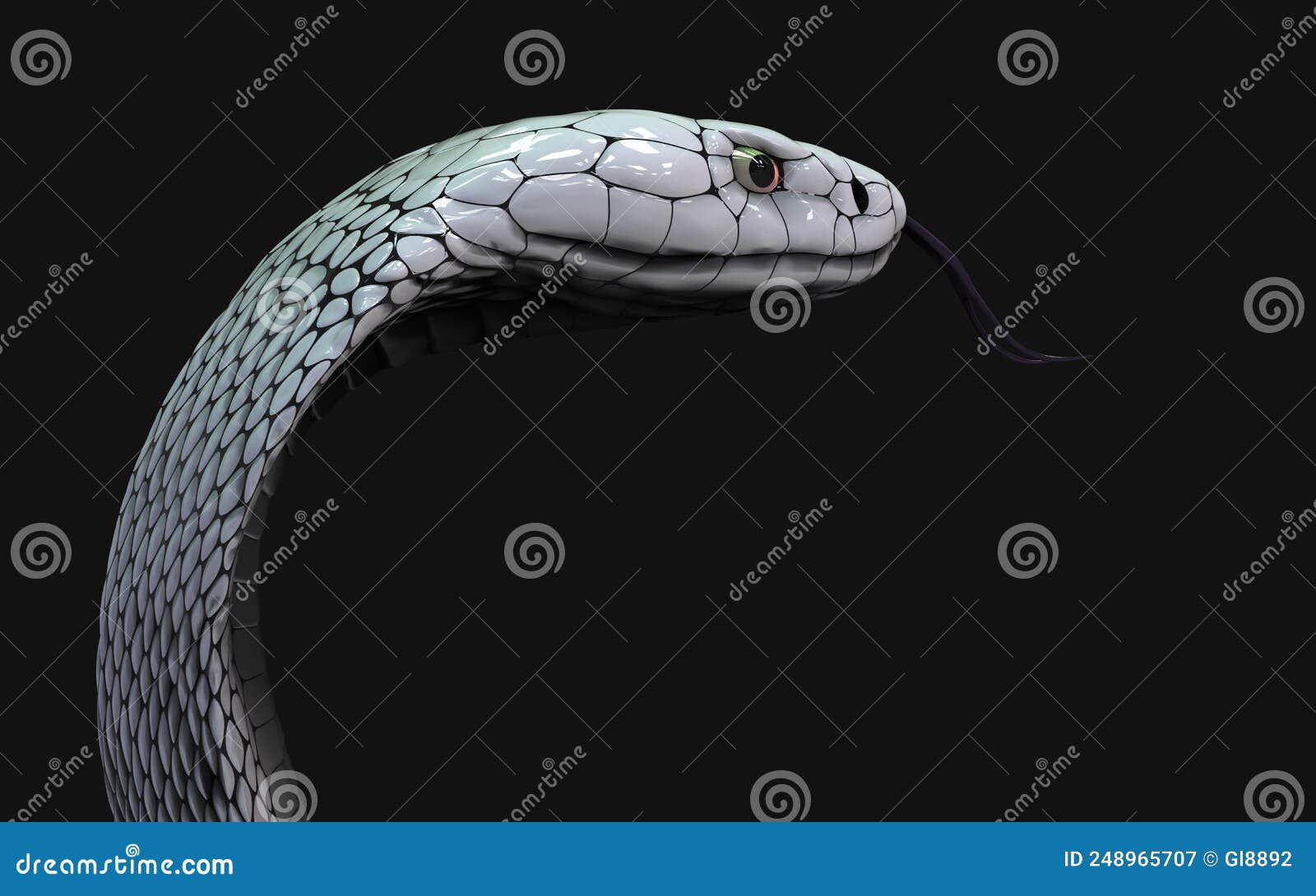 Albino King Cobra Snake. Abnormal Snake Royalty-Free Stock Photography ... Albino King Cobra Snake. Abnormal Snake Royalty-Free Stock Photography ...