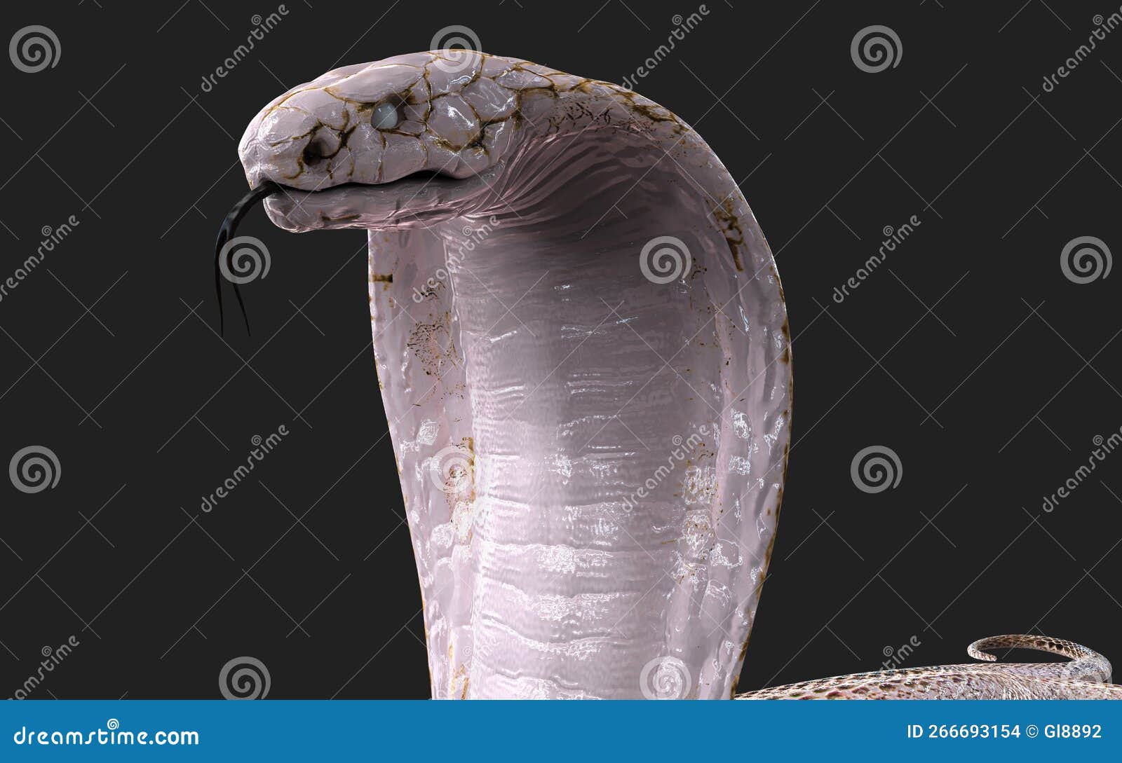 Albino King Cobra Snake. Abnormal Snake Royalty-Free Stock Photography ... Albino King Cobra Snake. Abnormal Snake Royalty-Free Stock Photography ...