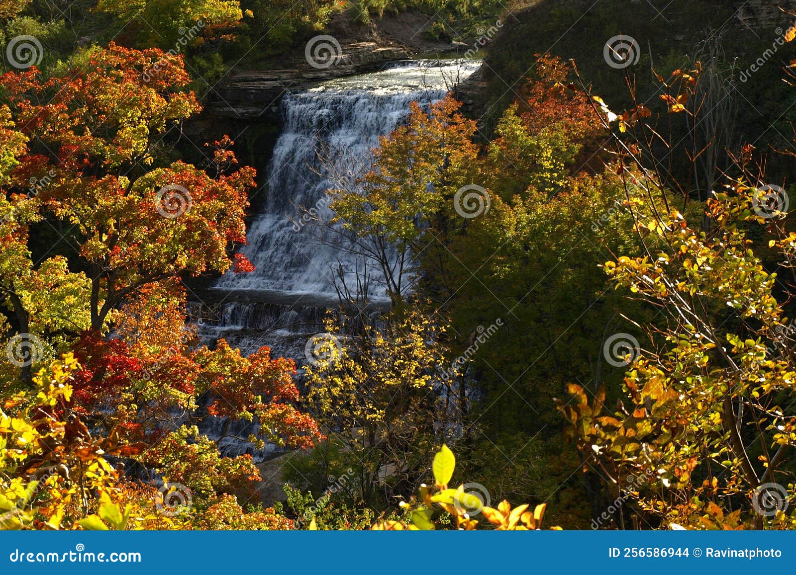 Albion Falls, Hamilton, on, Canada, in the Fall Stock Photo - Image of ...