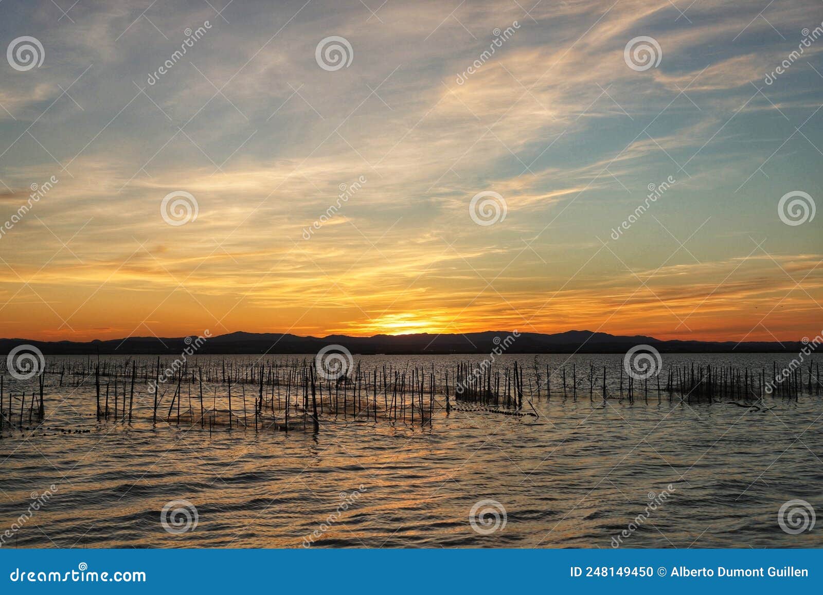 Albufera lake of Valencia stock photo. Image of albufera - 248149450