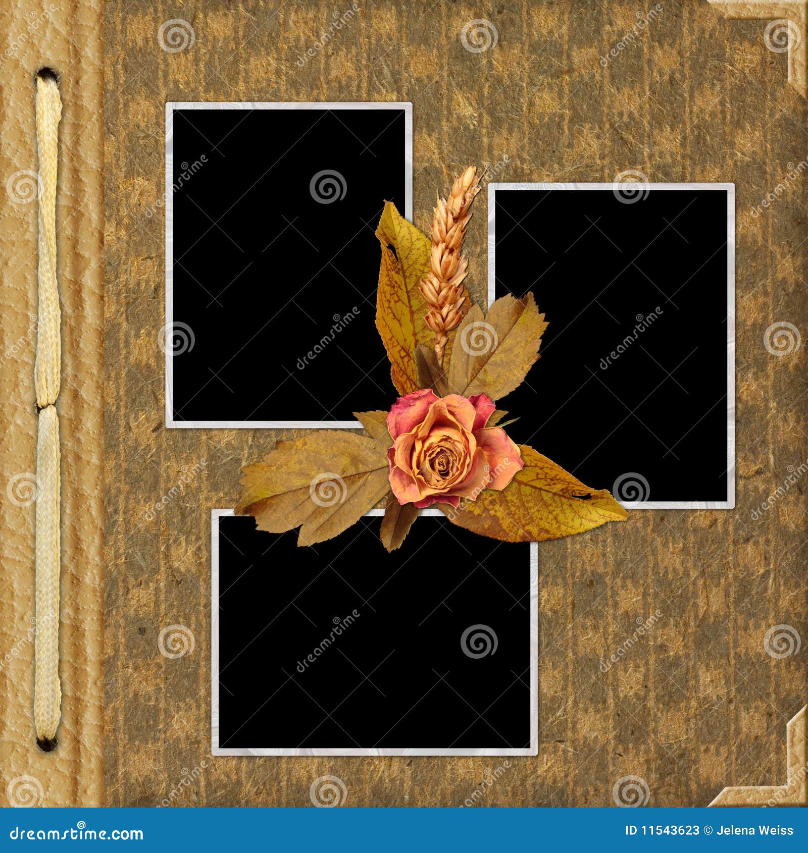 Album Cover with Frame and Flowers Stock Illustration - Illustration of ...