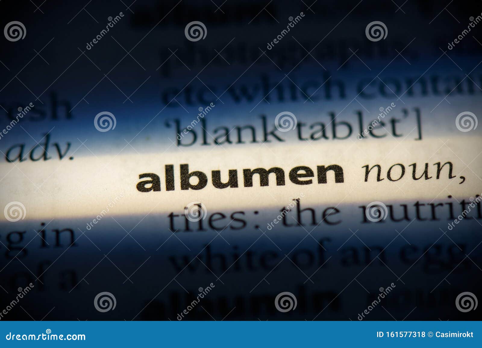 Albumen stock photo. Image of language, english, page - 161577318