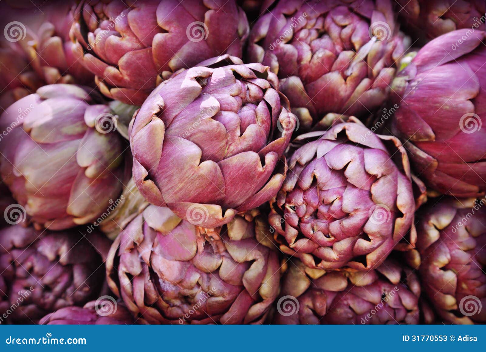 Alcachofa imagen de archivo. Imagen de fruta, alcachofas - 31770553