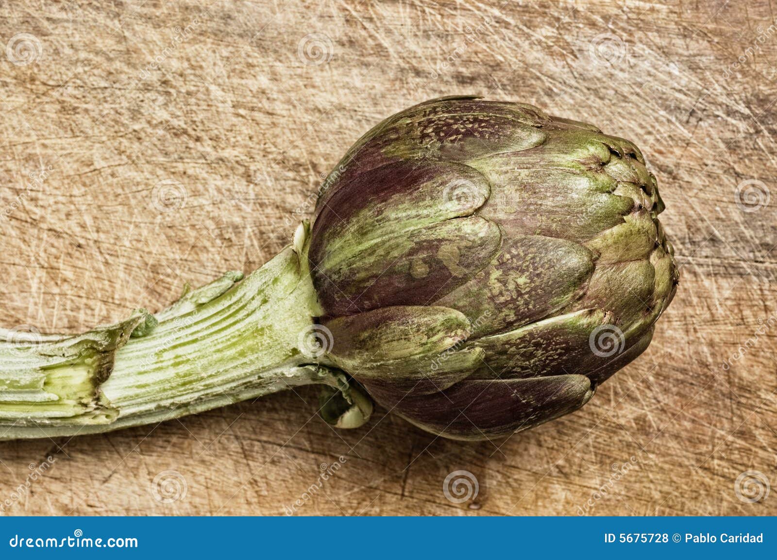 Alcachofa foto de archivo. Imagen de ingredientes, alcachofa - 5675728