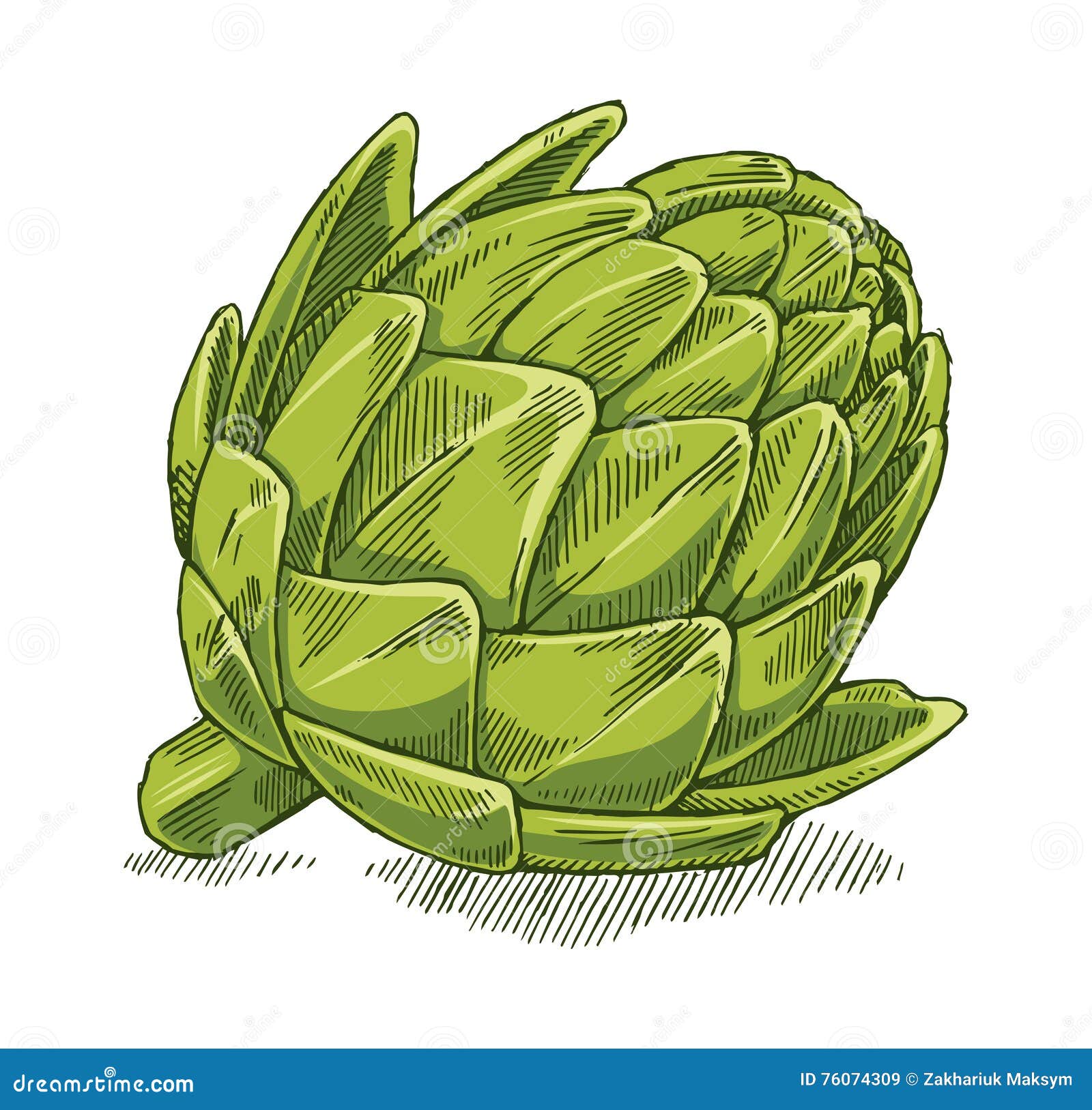 Alcachofa Ilustraciones Stock, Vectores, Y Clipart – (3,990 Ilustraciones Stock)