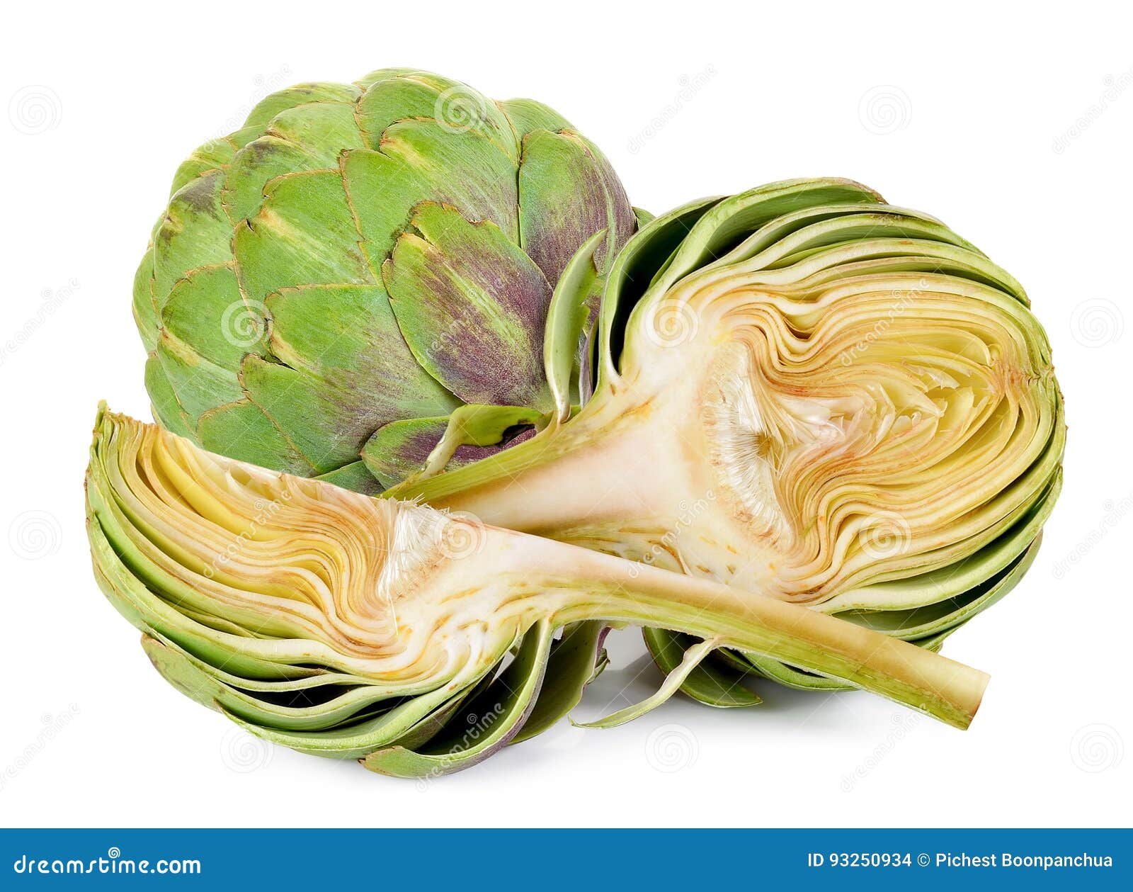 Alcachofa Aislada En El Fondo Blanco Foto de archivo - Imagen de crudo ...