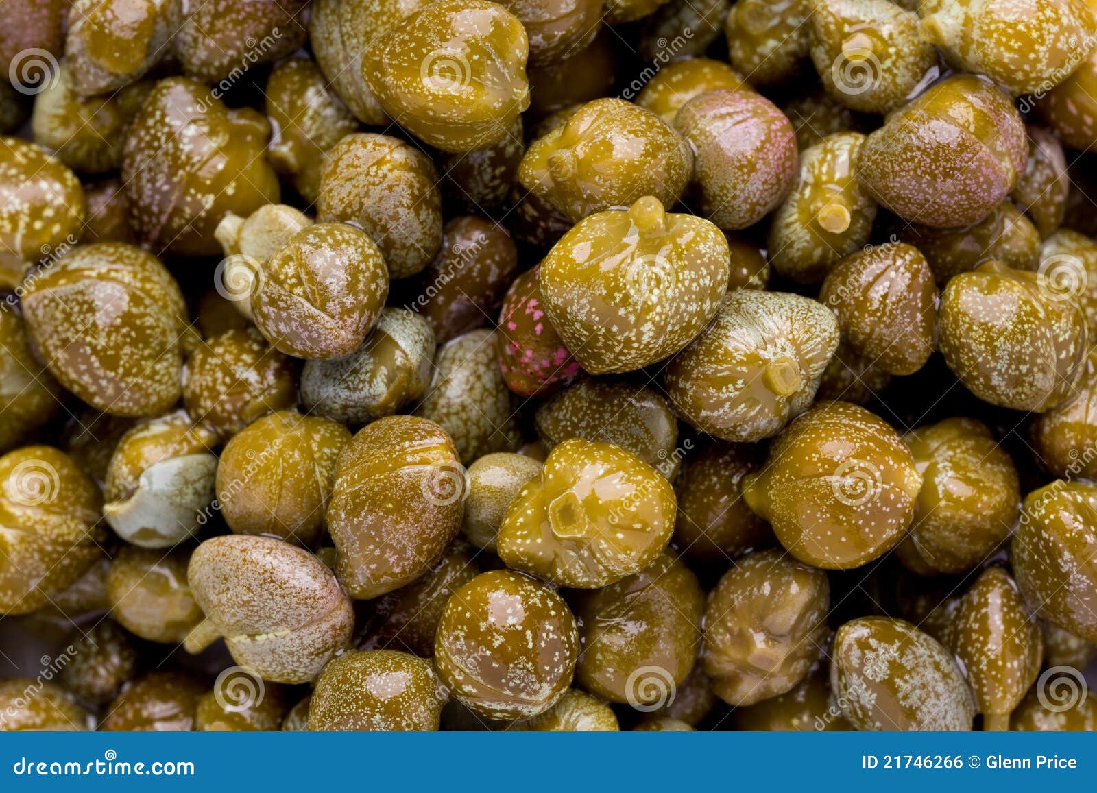 Alcaparras (spinosa Do Capparis) Foto de Stock - Imagem de picado ...