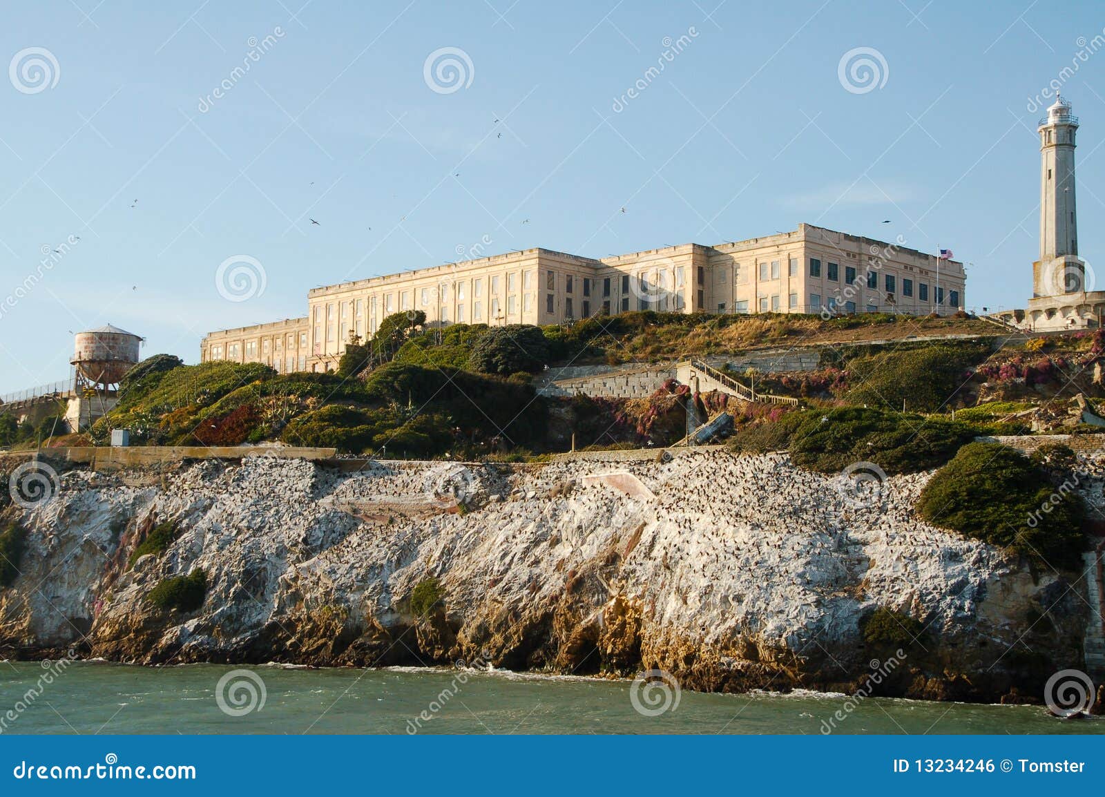 Alcatraz foto de archivo. Imagen de mariscos, color, recorrido - 13234246