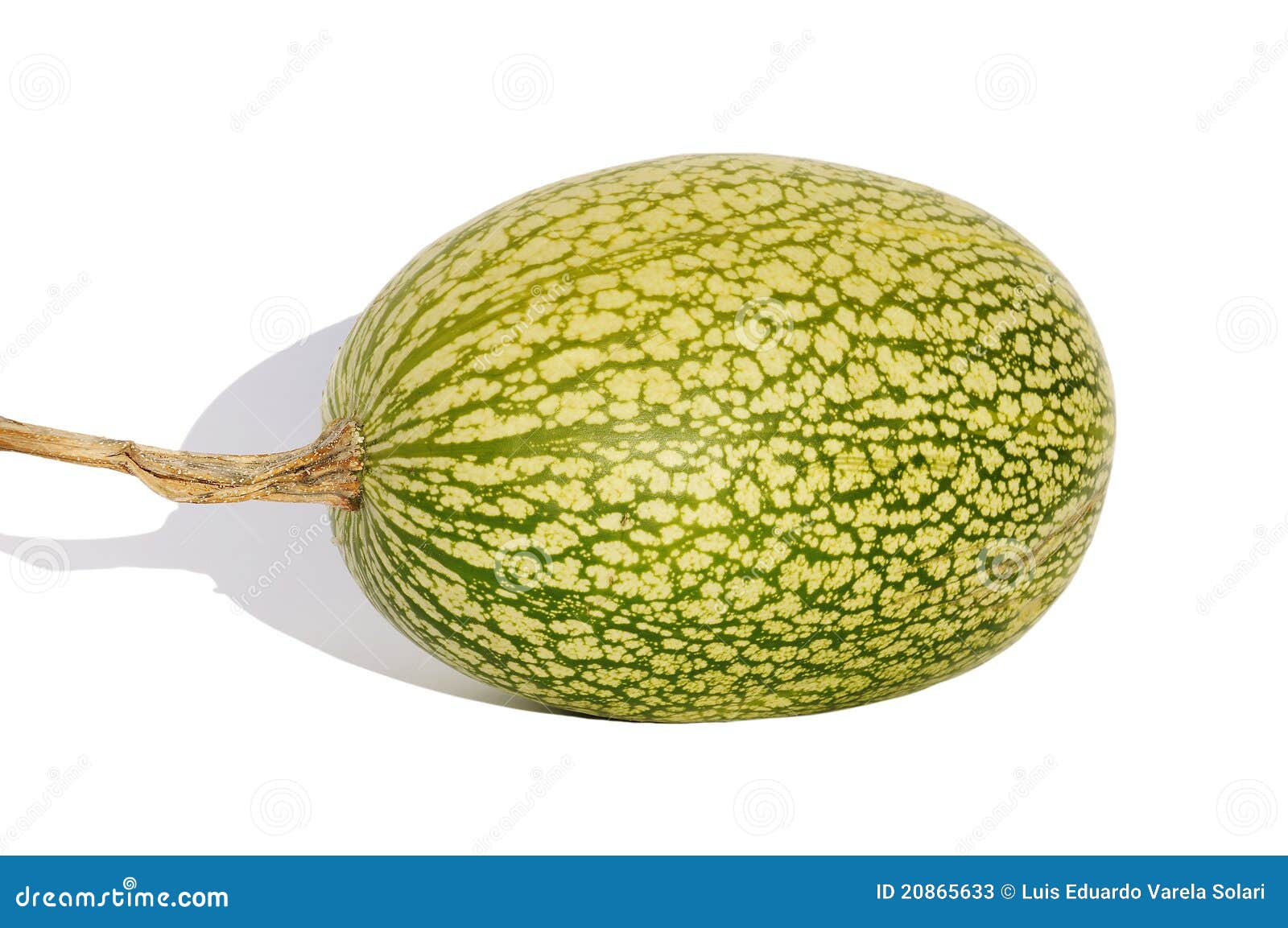 Alcayota De La Fruta Fotos de archivo - Imagen: 20865633