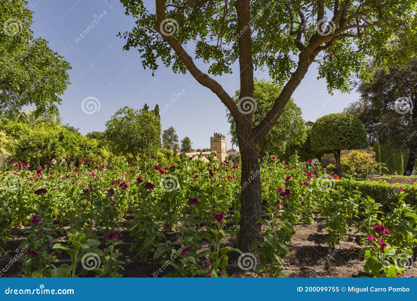 The Alcazar of the Christian Monarchs Stock Image - Image of europa ...