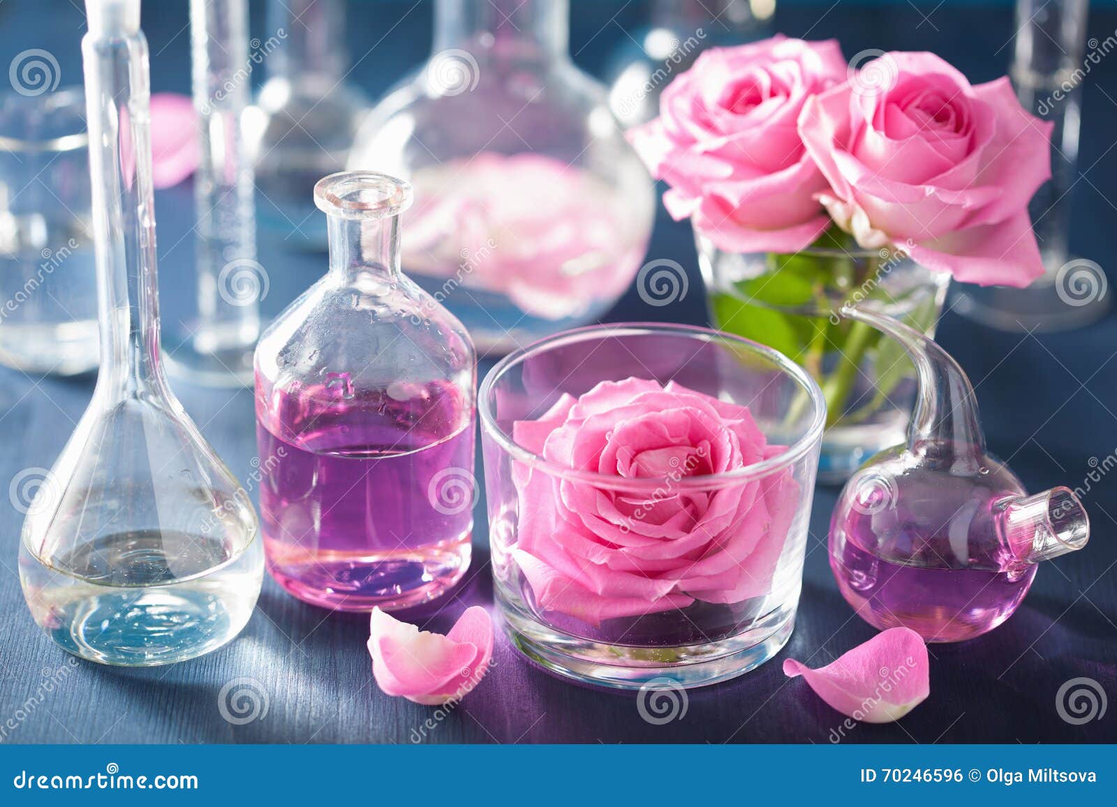 Alchemy and Aromatherapy with Rose Flowers and Chemical Flasks Stock ...