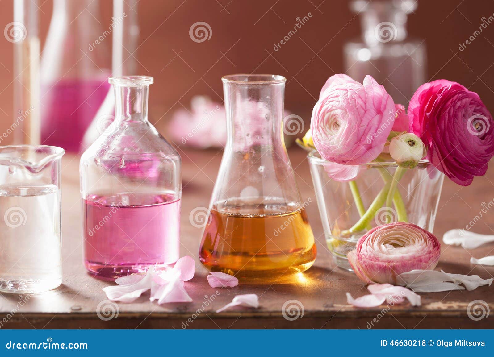 Alchemy and Aromatherapy Set with Ranunculus Flowers and Flasks Stock ...