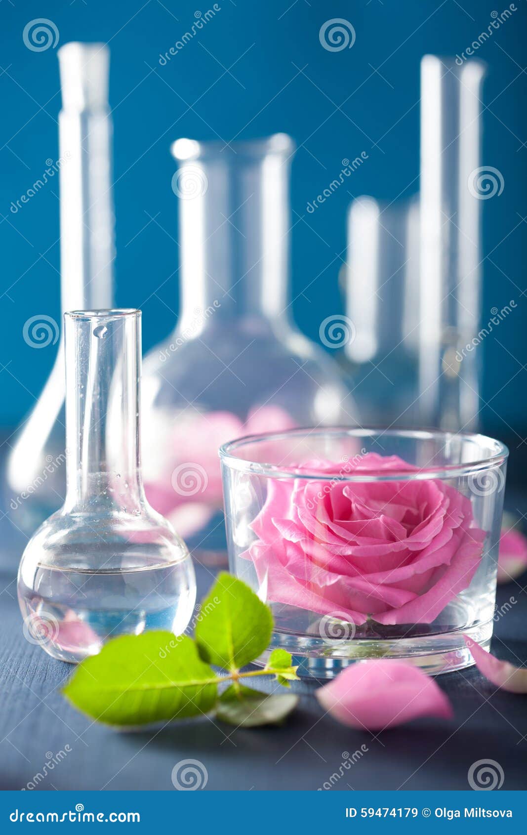 Alchemy and Aromatherapy Set with Rose Flowers and Chemical Flas Stock ...