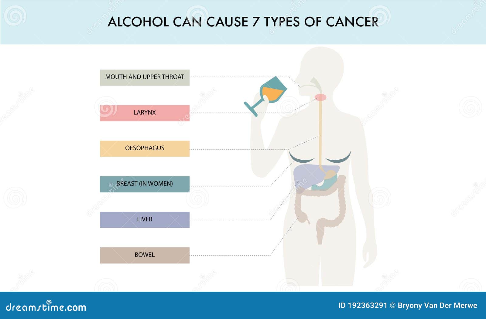 Alcohol Can Cause Different Cancer Stock Vector - Illustration of ...