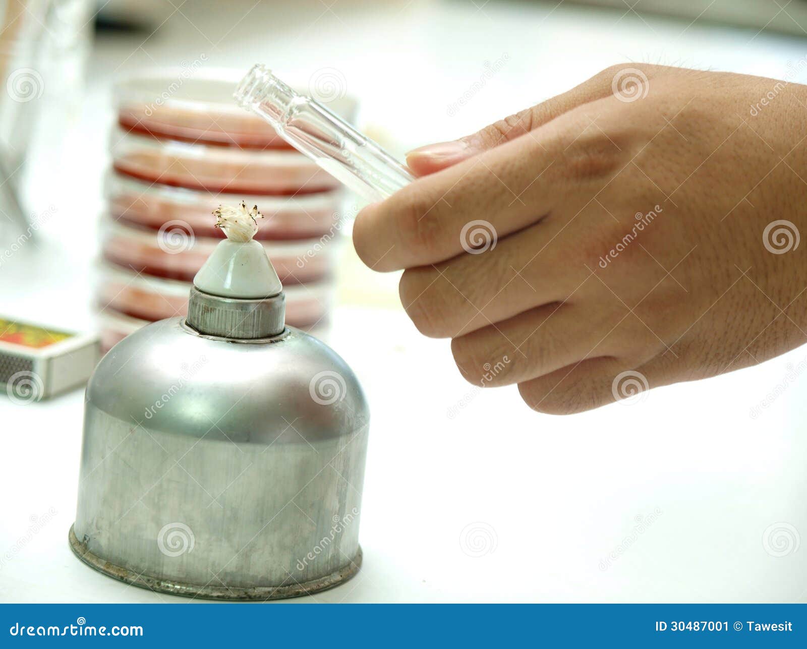 Alcohol Lamp in Microbiology Lab Stock Image - Image of instrument ...