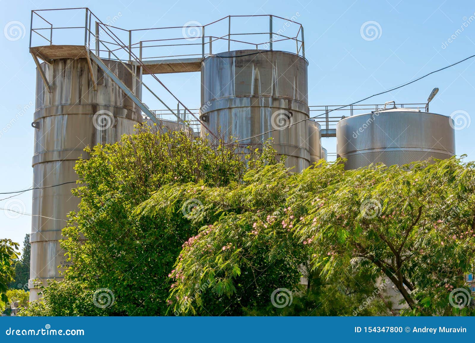 Alcohol factory stock photo. Image of bottle, industry - 154347800