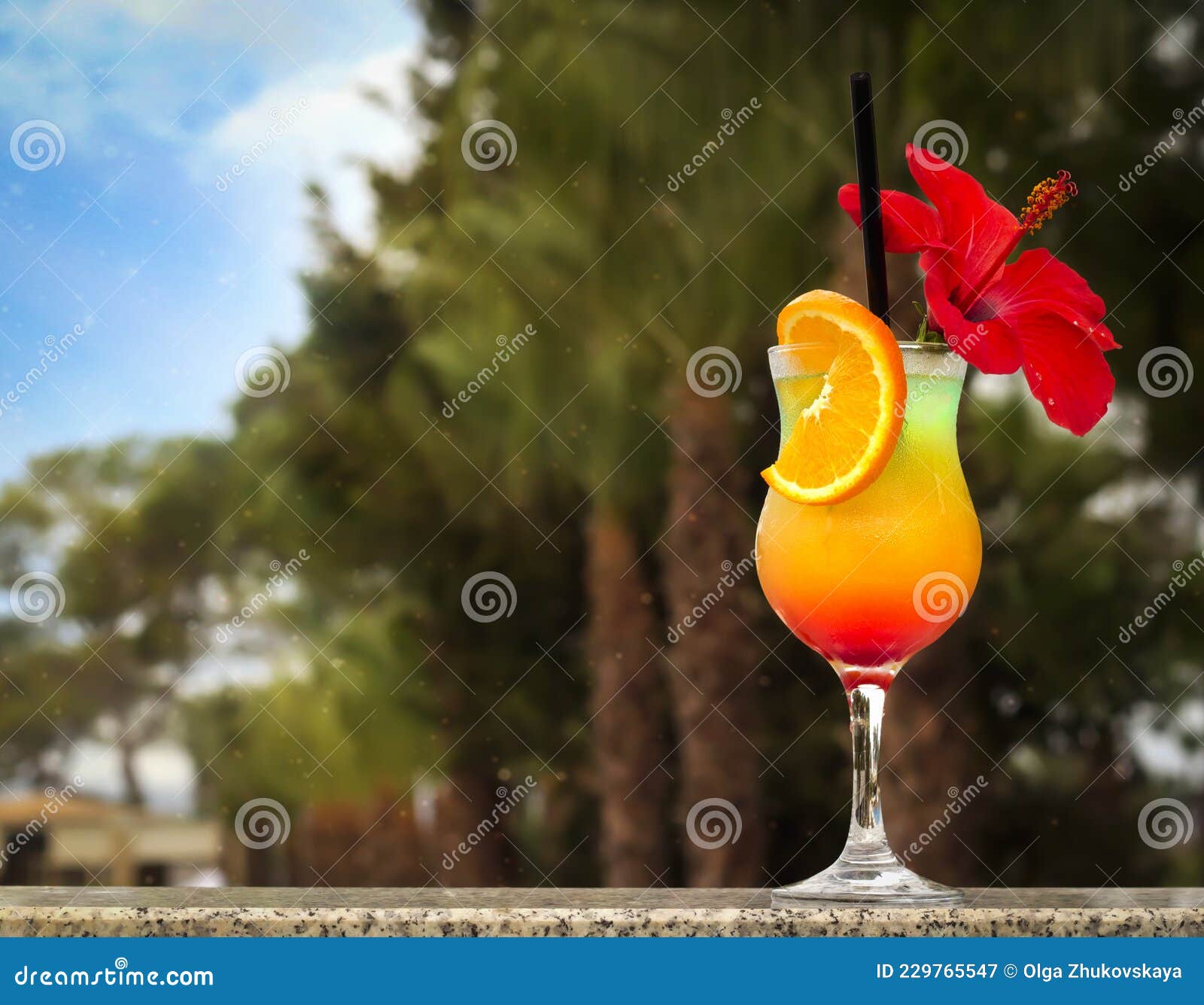 Alcoholic Drink on the Background of Palm Trees Stock Image - Image of ...