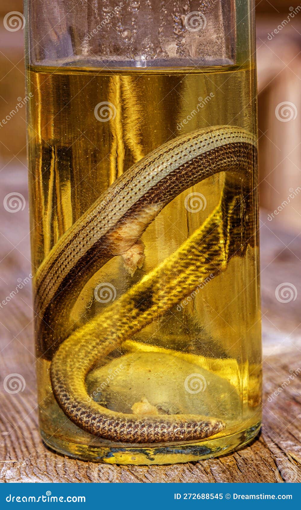 Alcoholic Drink, Tincture Using a Snake Stock Image - Image of animal ...