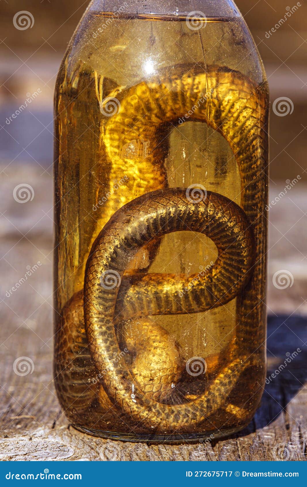 Alcoholic Drink, Tincture Using a Snake Stock Image - Image of drink ...
