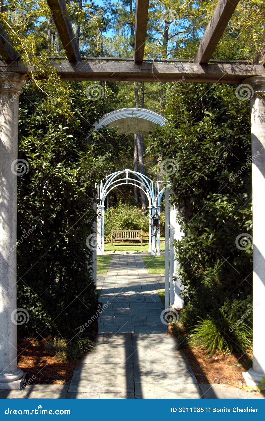 Alcove Hideaway stock image. Image of bench, outside, botanical - 3911985
