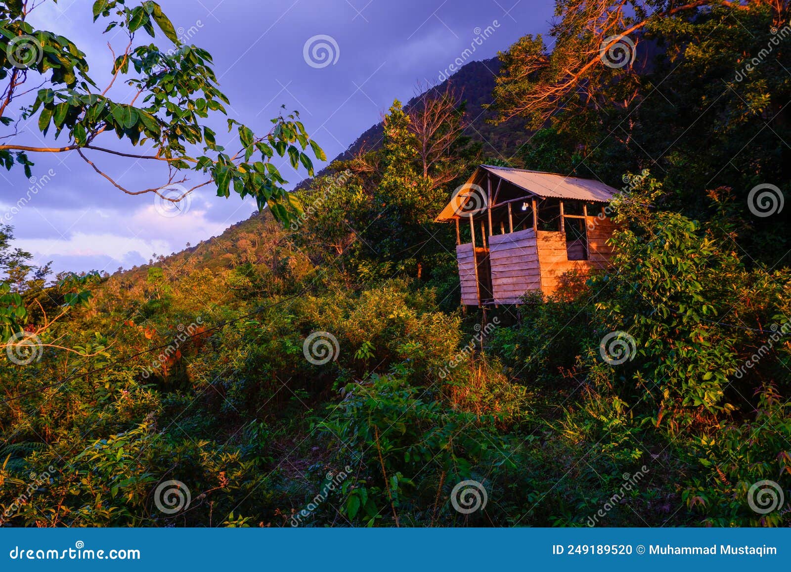 Alcove Mountain Forest on Natuna Island Stock Photo - Image of woodland ...