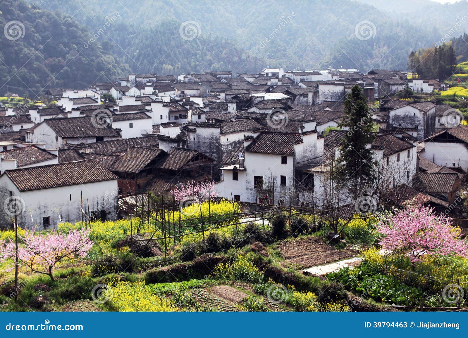 Aldea imagen de archivo. Imagen de casas, flores, completo - 39794463