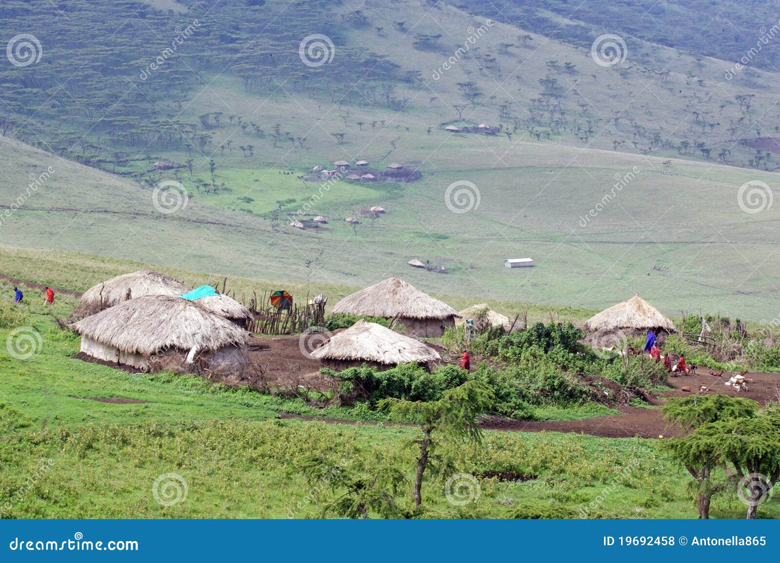 Aldea del Masai foto de archivo editorial. Imagen de tanzania - 19692458