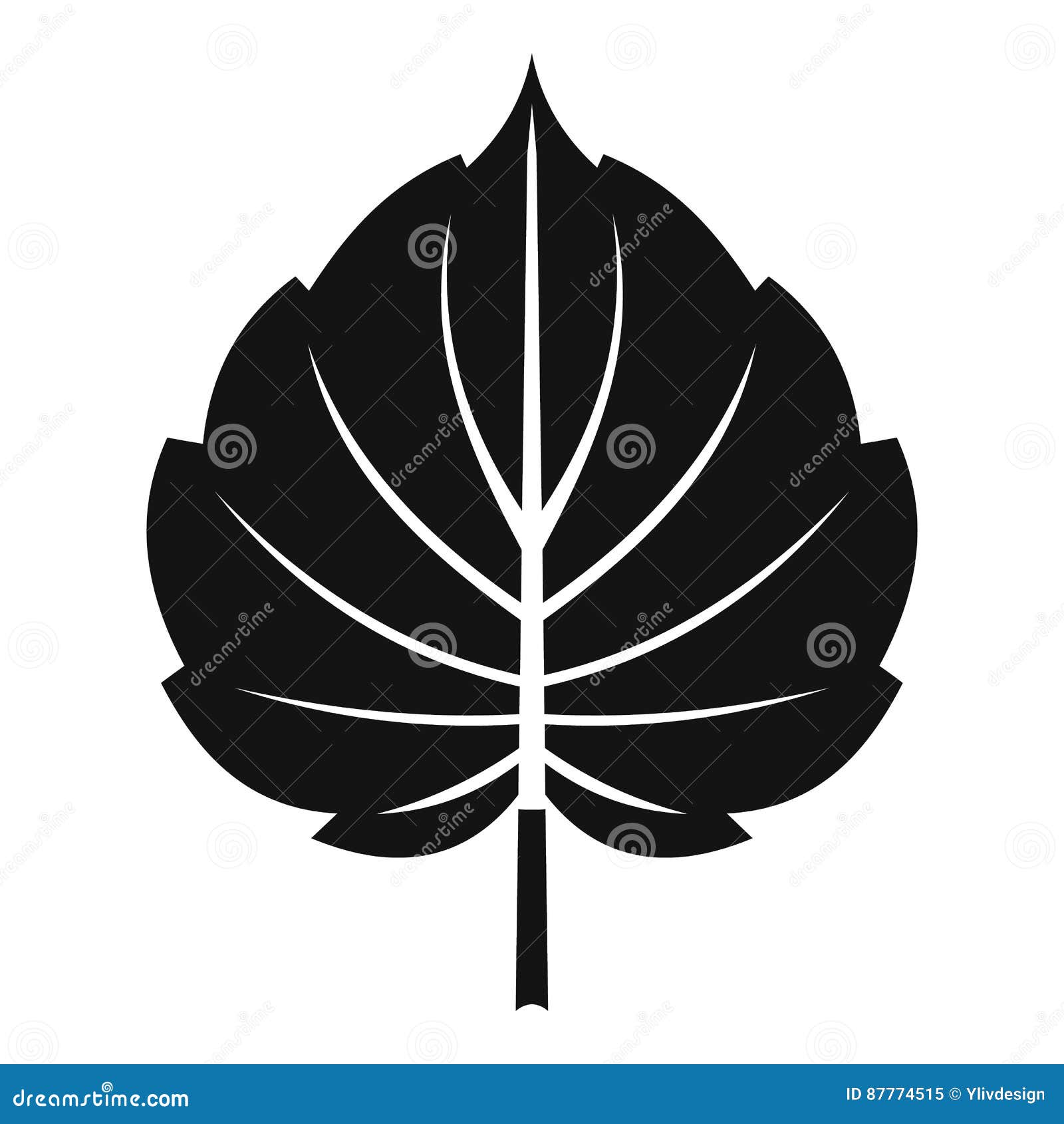 Alder Leaf Isolated On Transparent Background Stock Photography ...