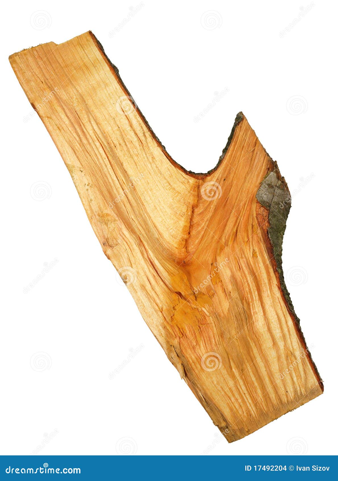 Alder log stock photo. Image of chopped, timber, wooden - 17492204