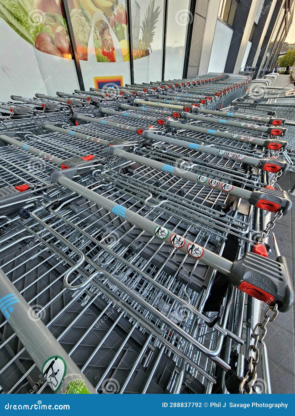 Aldi shopping trollies editorial photography. Image of retailing ...