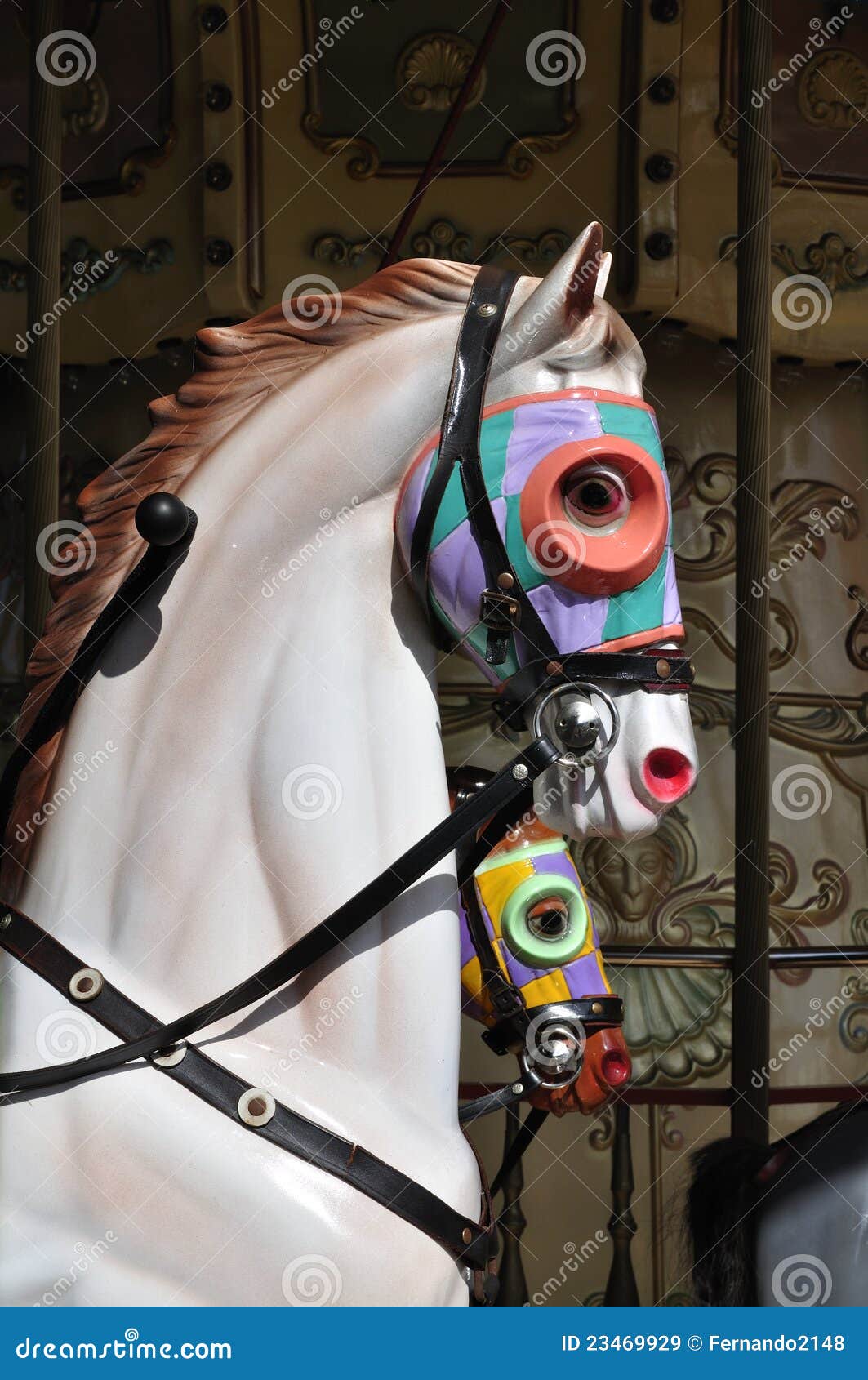 Alegre Vai O Cavalo Do Círculo Imagem de Stock - Imagem de passeio ...