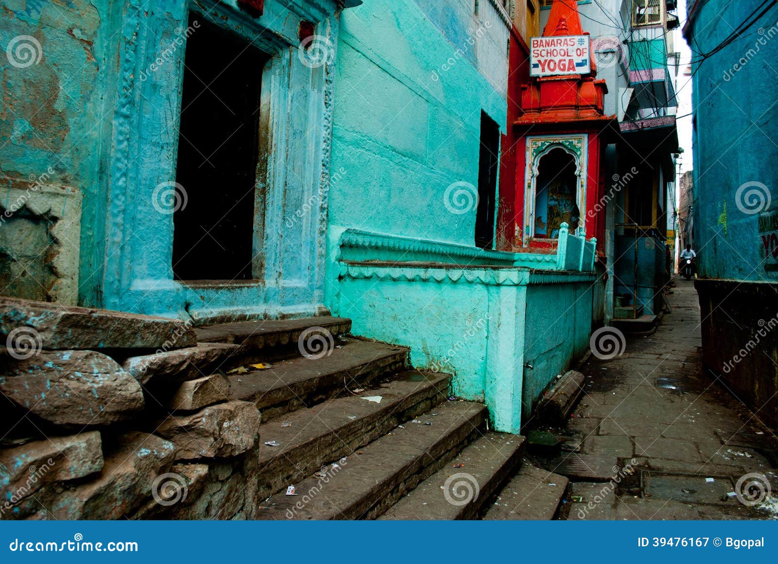 Aleia em Varanasi fotografia editorial. Imagem de animal - 39476167