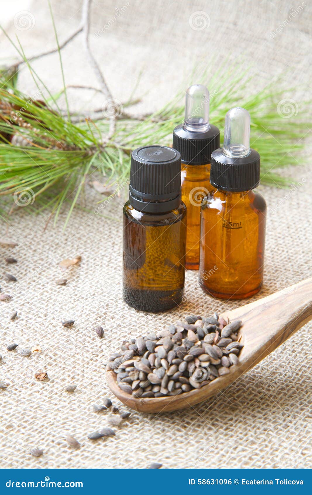 Aleppo pine essential oil. stock photo. Image of antiseborrheic - 58631096