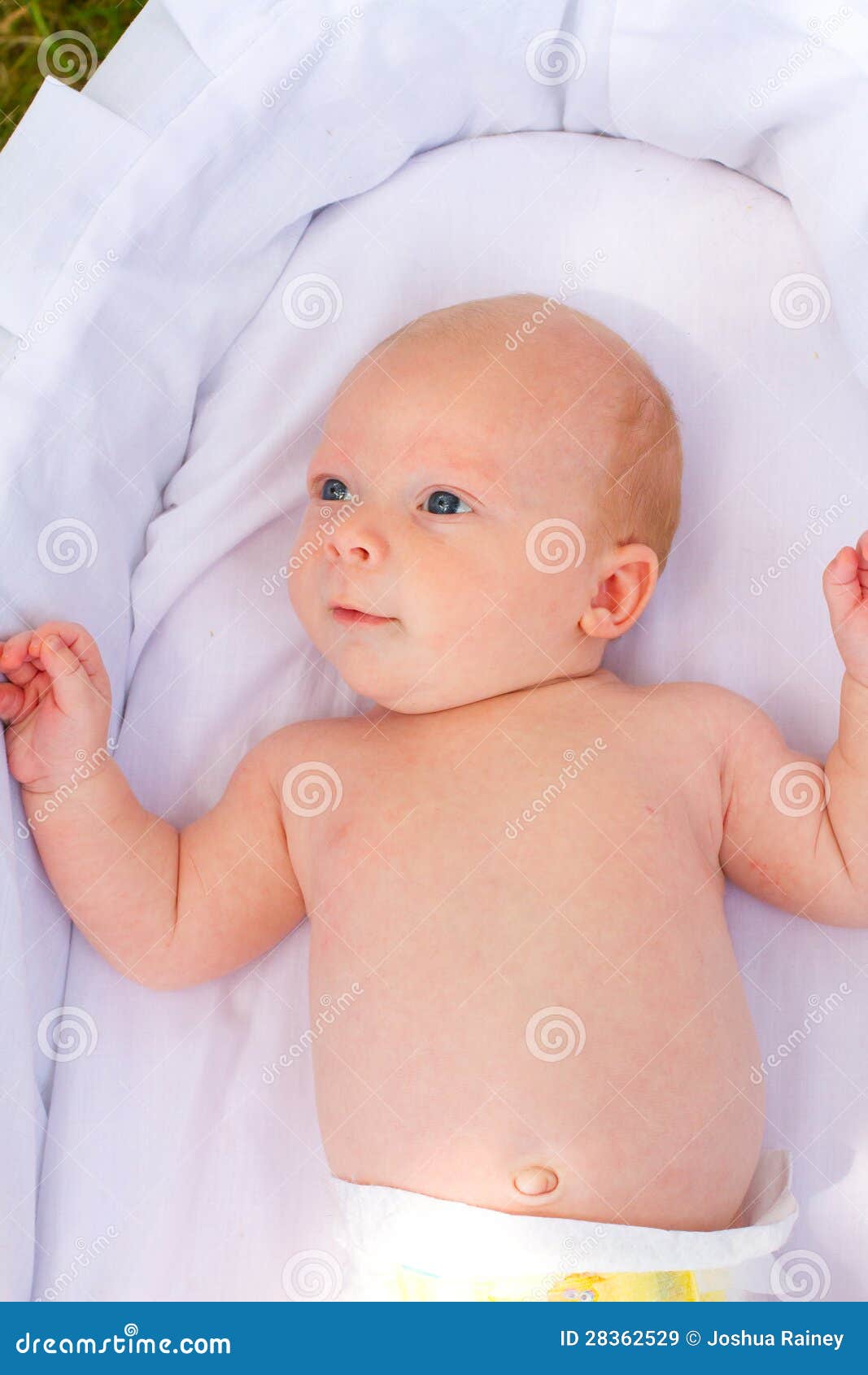 Alert Baby stock image. Image of child, looking, alert - 28362529