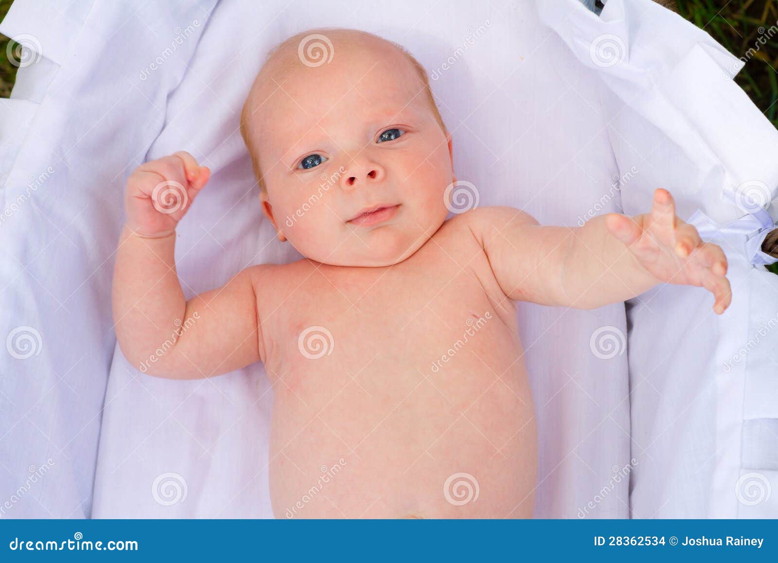 Alert Baby stock photo. Image of baby, awake, white, young - 28362534