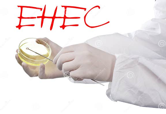 Alert for EHEC stock image. Image of healthcare, isolated - 19700821