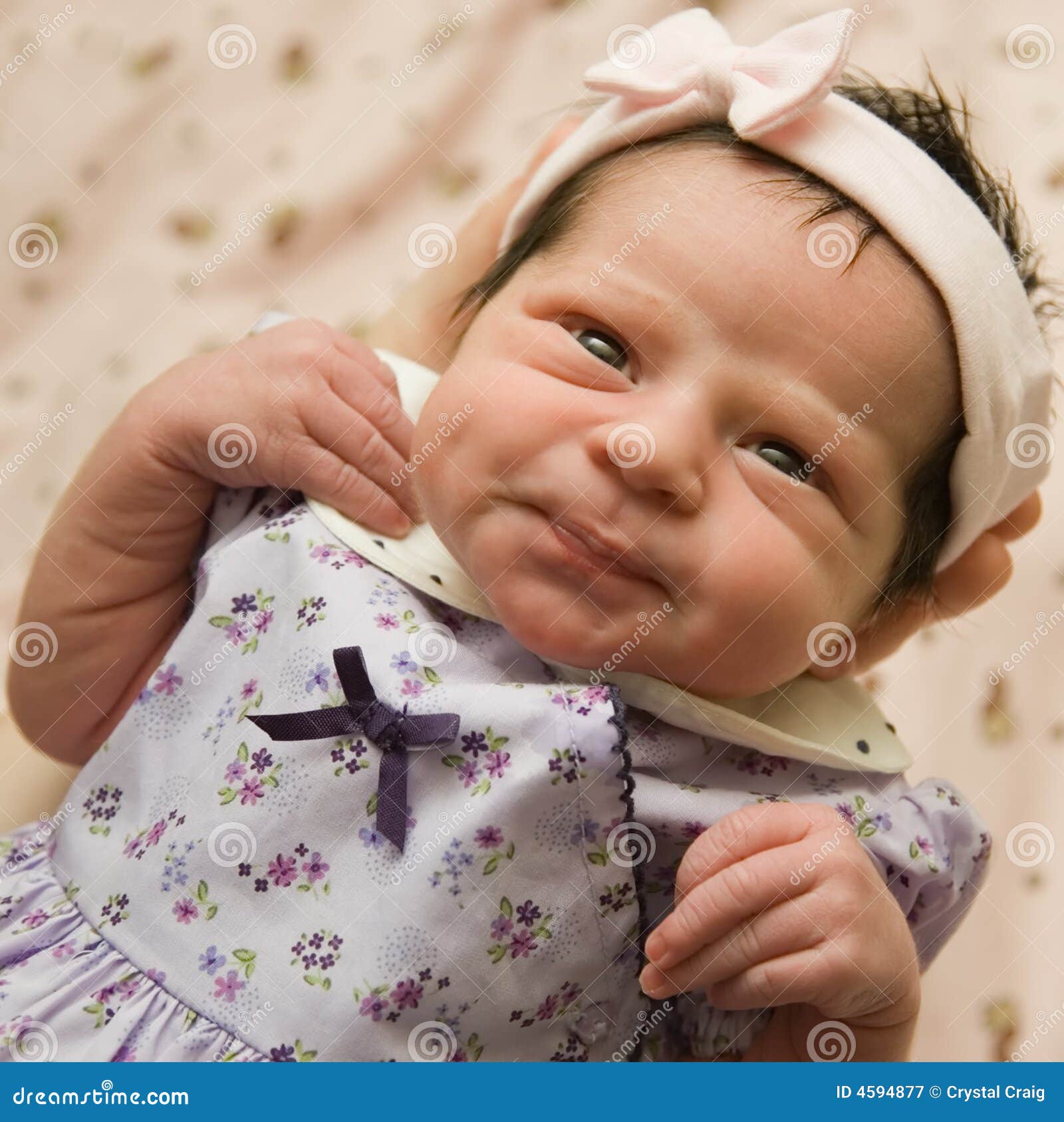 Alert newborn baby stock image. Image of brown, newborn - 4594877