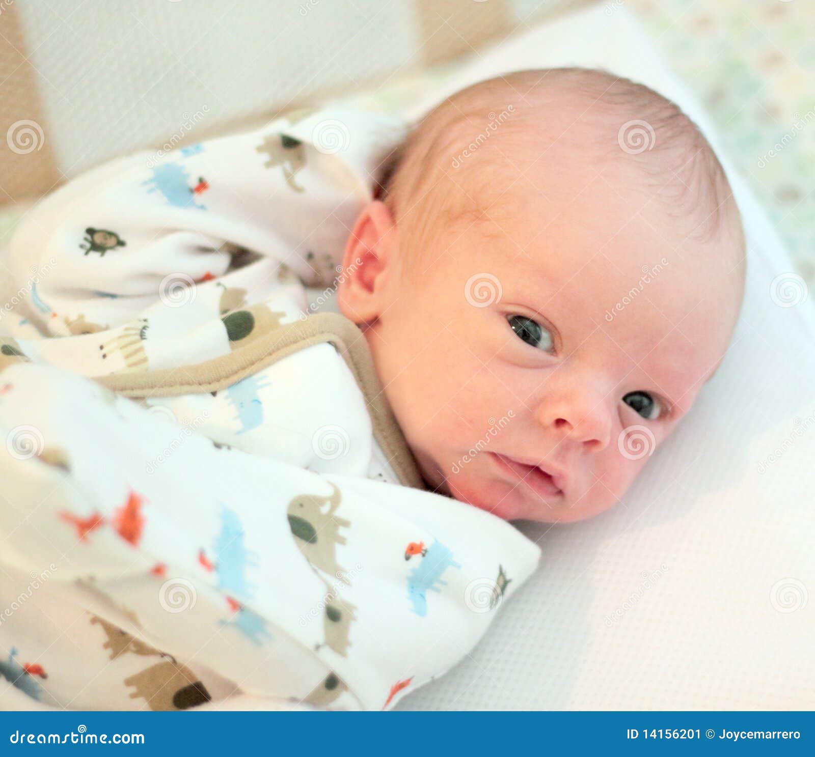 Alert Newborn Infant stock image. Image of cute, newborn - 14156201