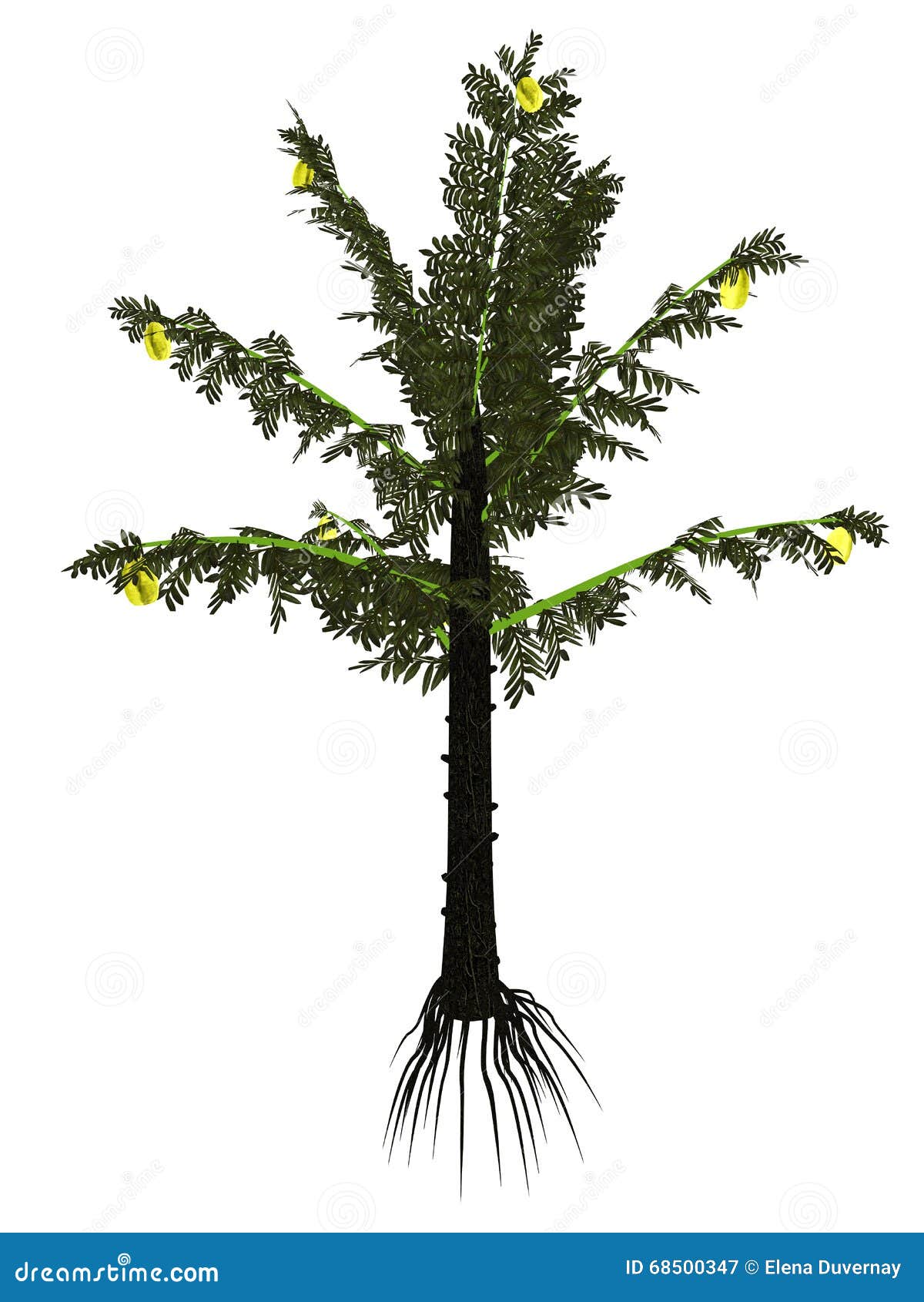 Serli Stock Illustrations – 2 Serli Stock Illustrations, Vectors ...