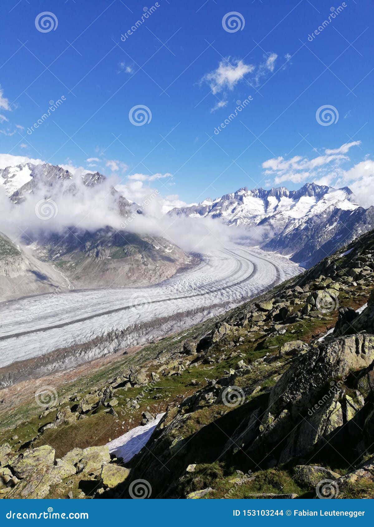 Aletschgletscher stock photo. Image of switzerland, bettmeralp - 153103244