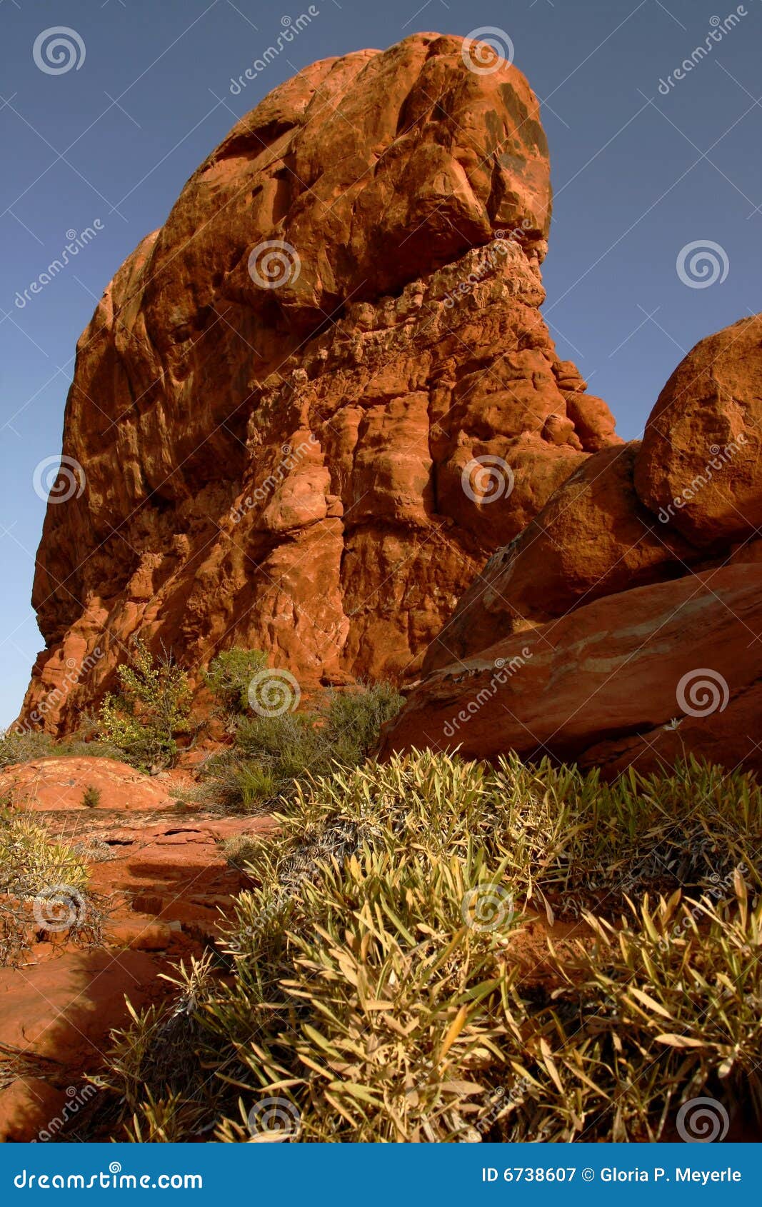 Aletta rossa della roccia immagine stock. Immagine di freghi - 6738607