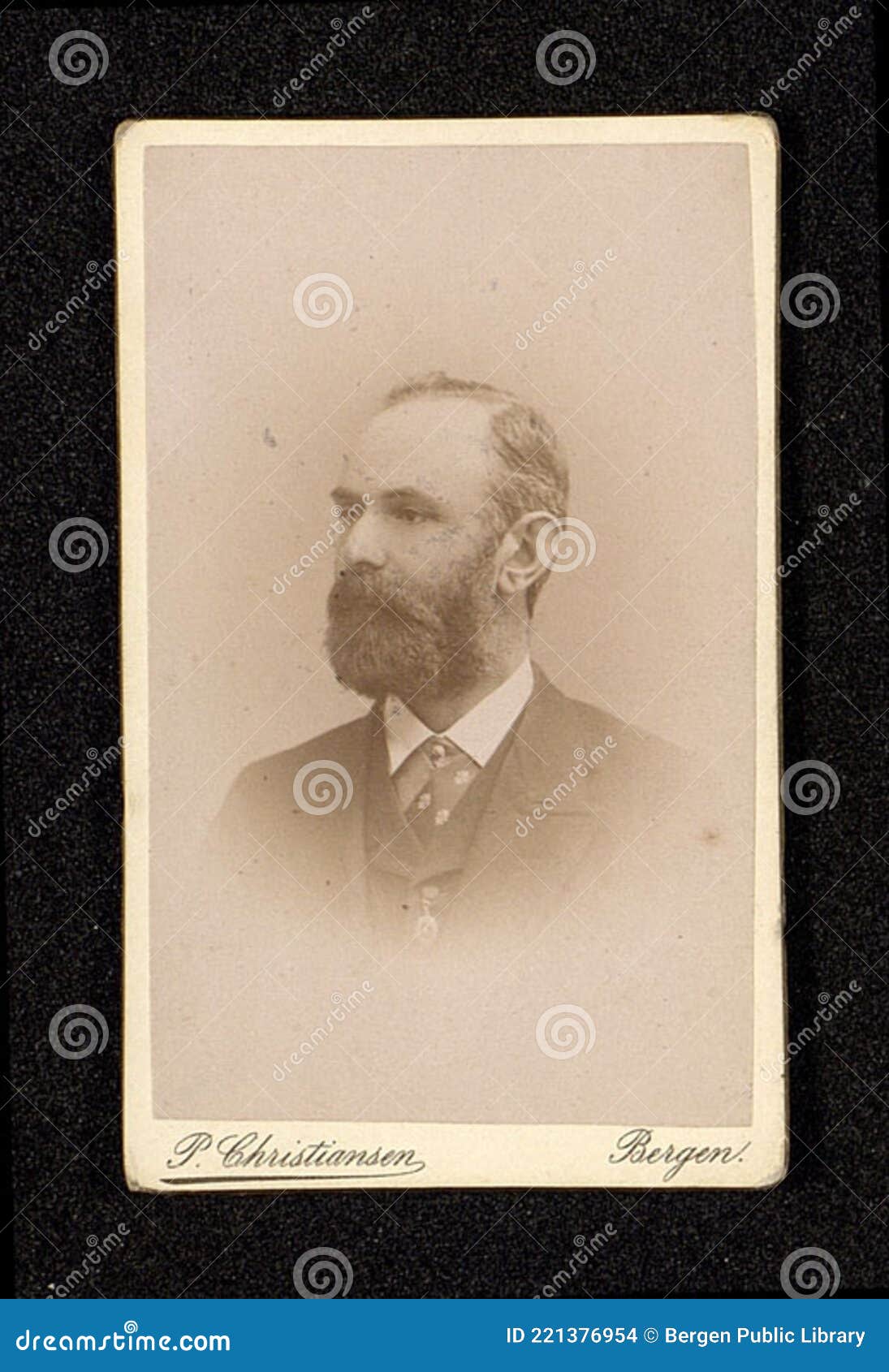 Alexander Bull Picture. Image: 221376954