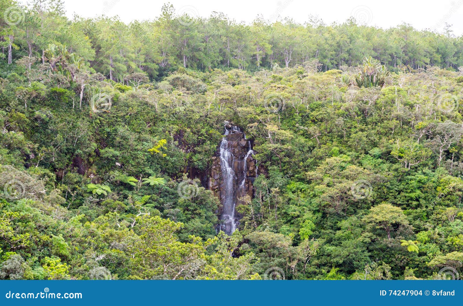 Alexandra Falls Waterfall in Gorges National Park Mauritius Stock Photo ...