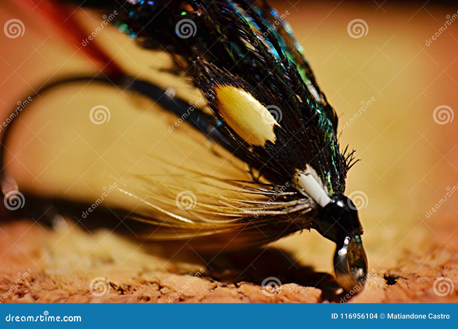 Alexandra Fly Stock Photos - Free & Royalty-Free Stock Photos from ...