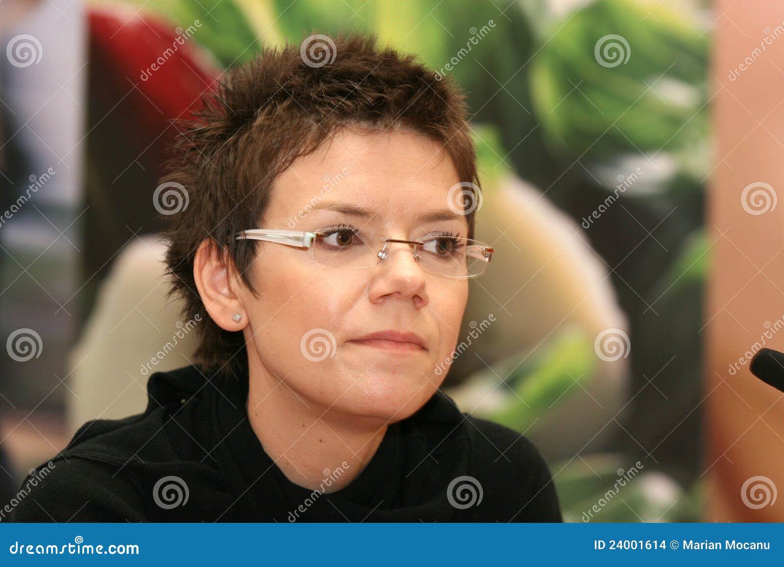 Alexandra Olaru editorial stock image. Image of director - 24001614